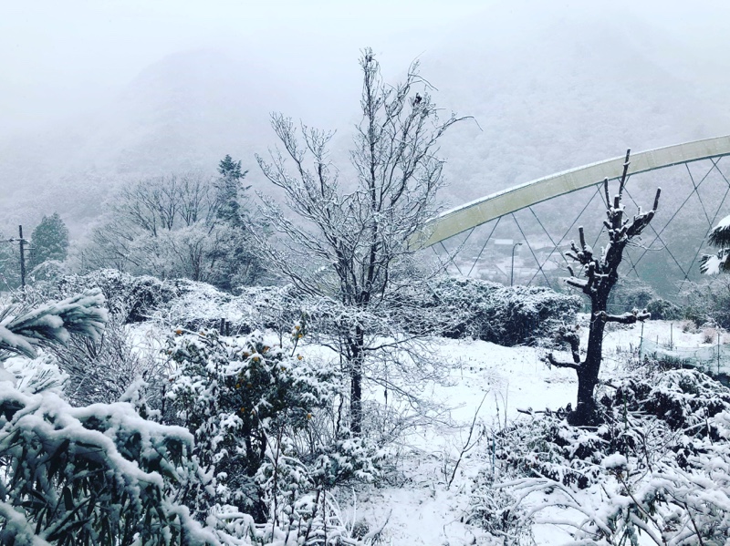 お休み – KUNIE KAI